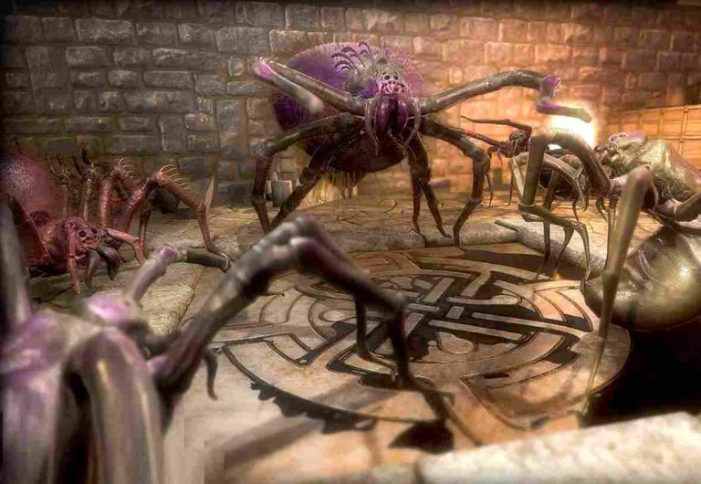 Spider Character Spiders Pack - Fantasy RPG - Free Download